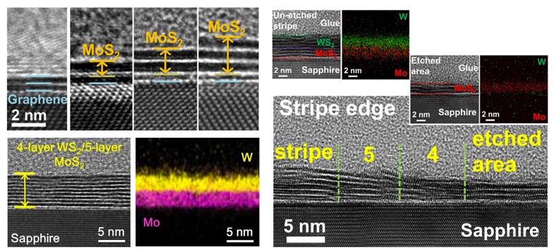 Shih-Yen Lin – Biophotonics4Future
